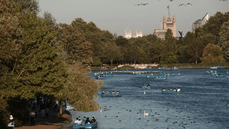 LETTS MEDIA PUBLICATION EXAMINES REWILDING IN LONDON - LettsGroup